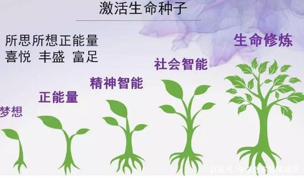 种子能量截图