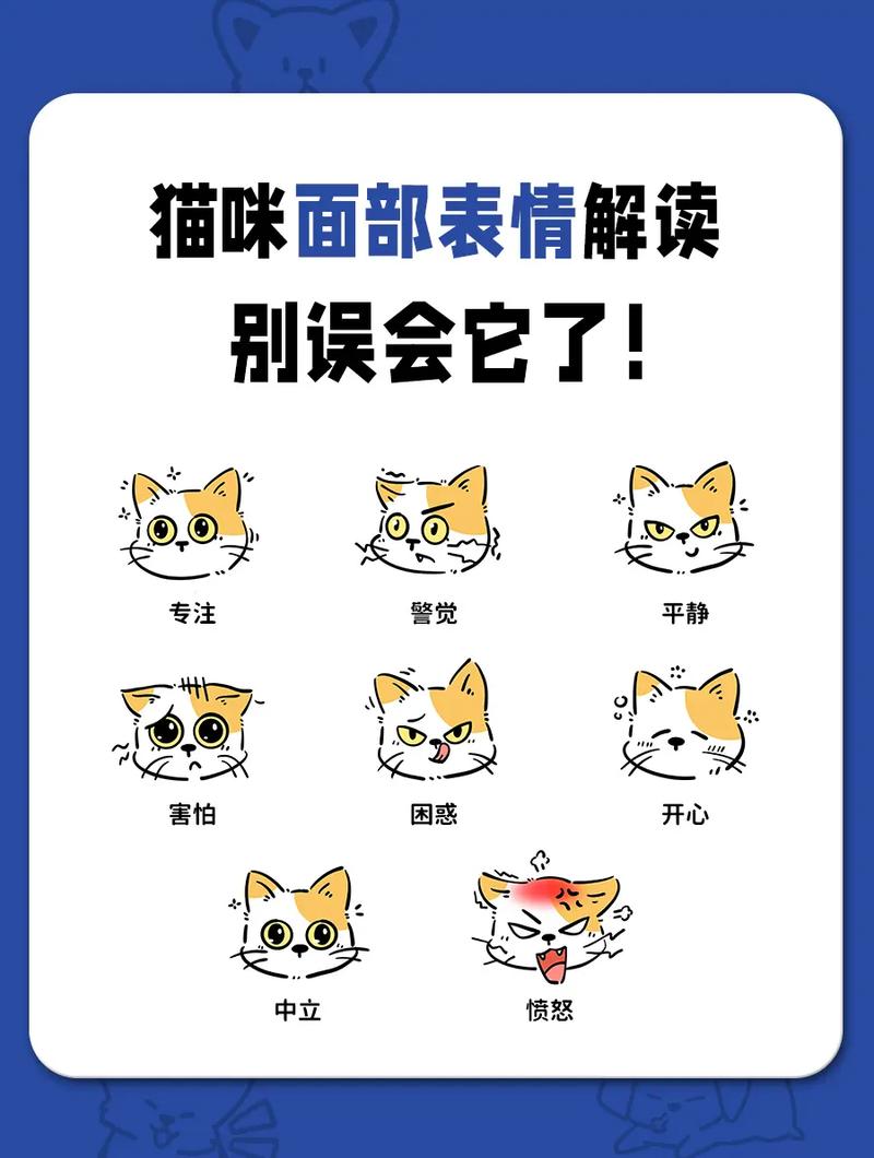 网红小猫表情包图标