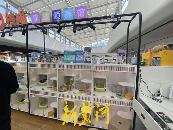 哆咪喵宠物店截图