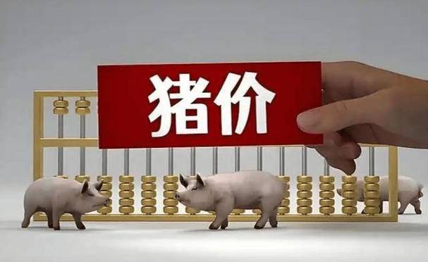 猪肉最新政策图标