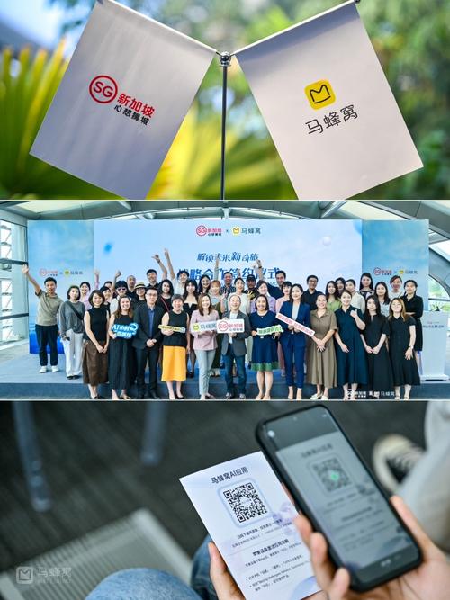 蜂窝助手官网安卓图标