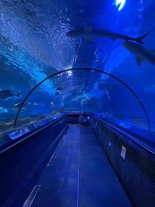 深海水族馆兑换码图标