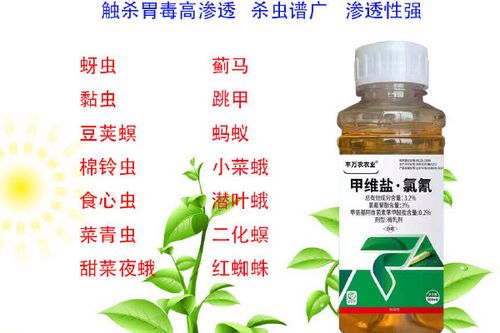蔬菜去除农药截图