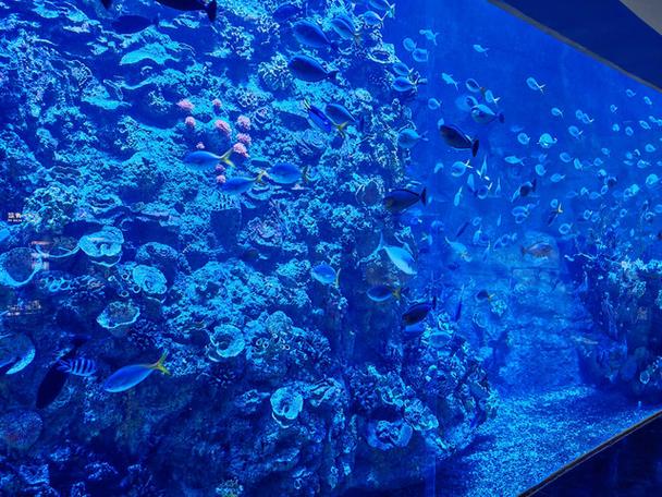 深圳海洋馆海底世界门票图标