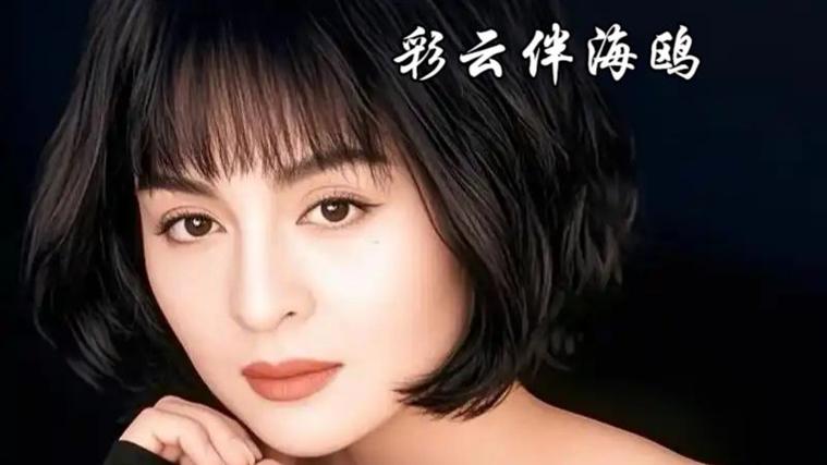 彩云伴海鸥电视剧免费观看
