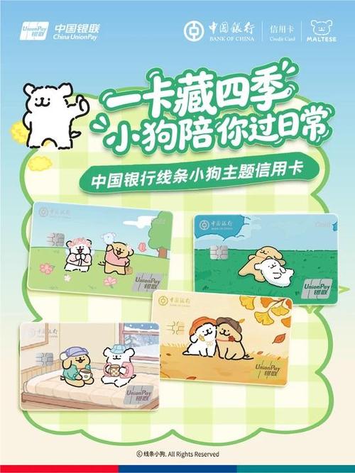 中国银行有卡通卡吗图标
