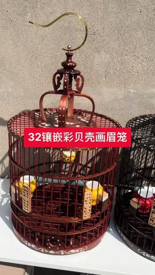 八哥鸟笼多大尺寸最好图标