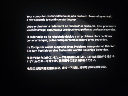 苹果切出去软件就重启图标