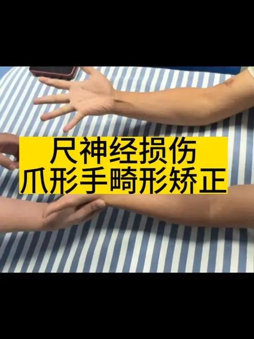 龙爪虎爪鹰爪外形区别图标