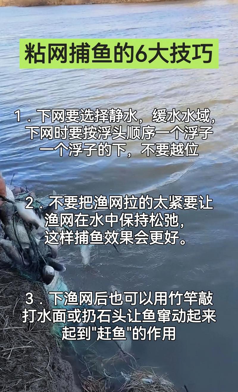 一个人放粘网的好处图标