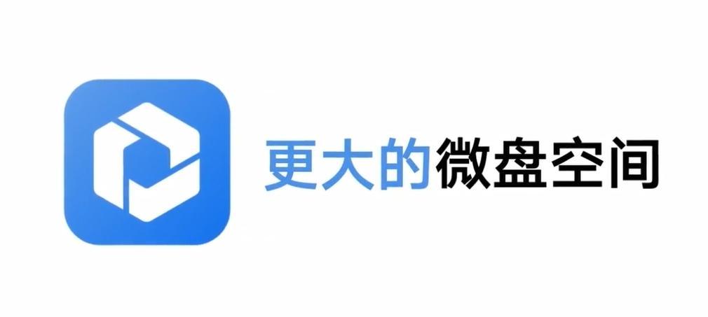 微盘 PDF图标