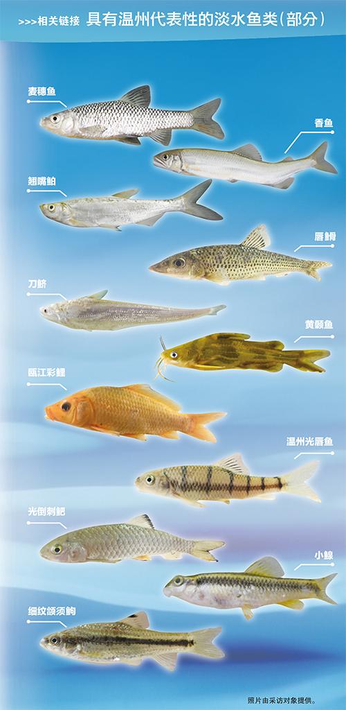鱼名称大全500种截图