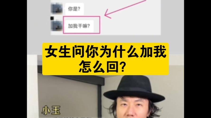 高情商回复女生说为什么加我图标