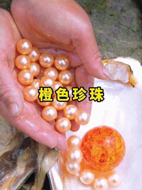 裂纹珍珠哪里出截图