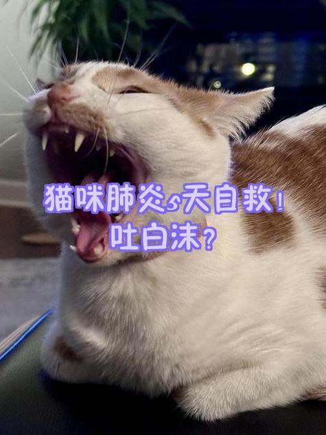 猫吐白沫在家怎么治截图