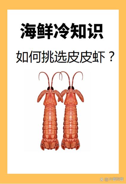 皮皮虾怎么赚钱图标