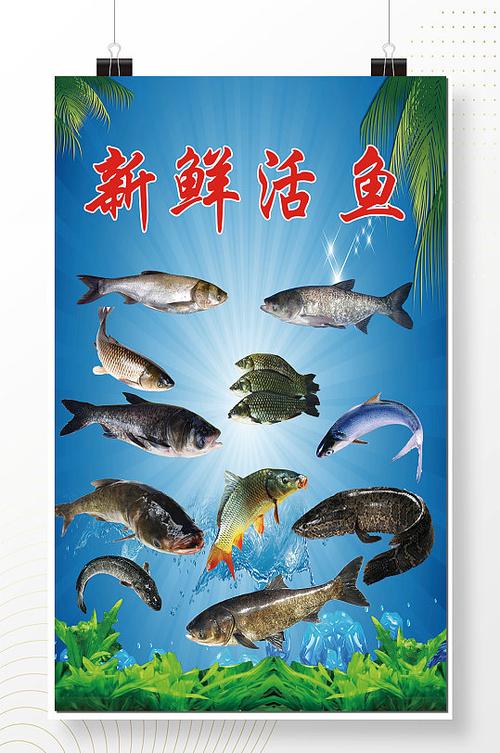 卖野生鱼的广告