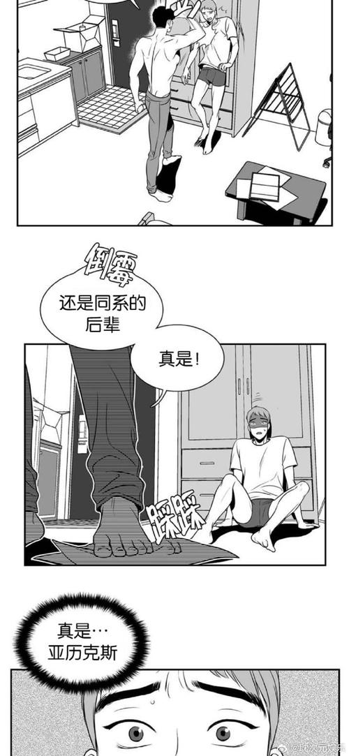 kakaowebtoon漫画订阅图标