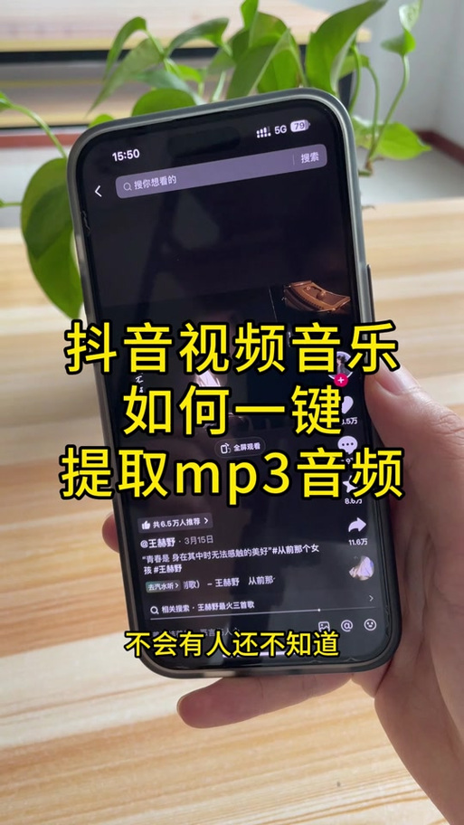 怎么把自己录的歌做成视频