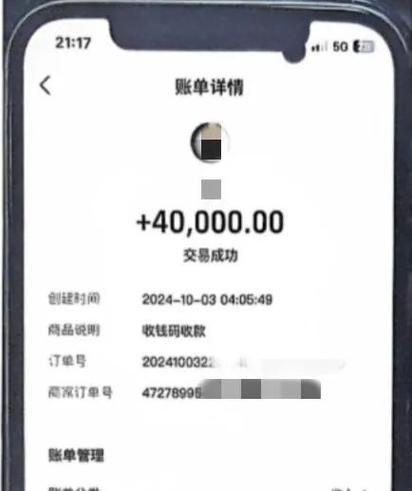 个人账户收款金额过大游戏截图