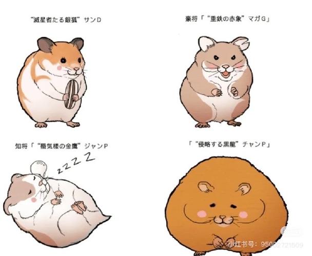 仓鼠睡觉死了图标