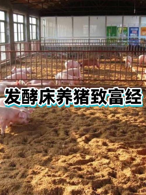 致富经养猪图标