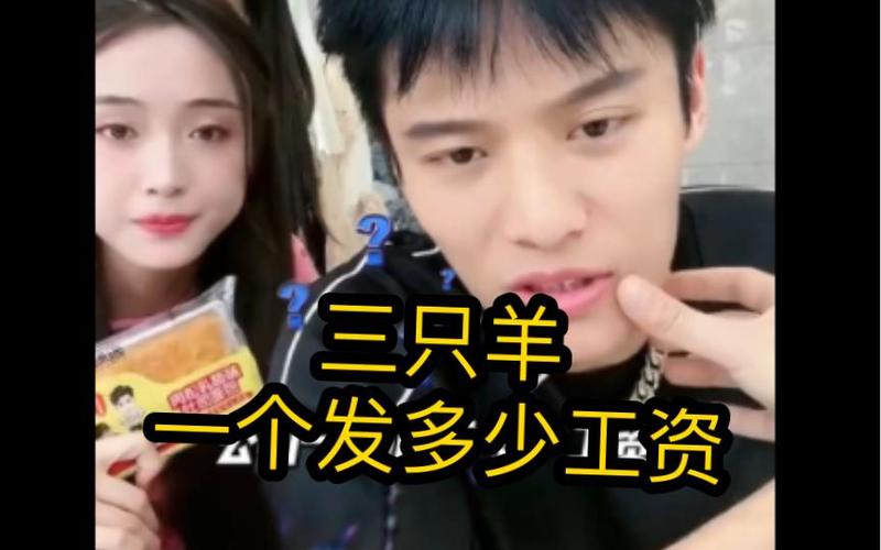 三只羊网络一个月工资截图