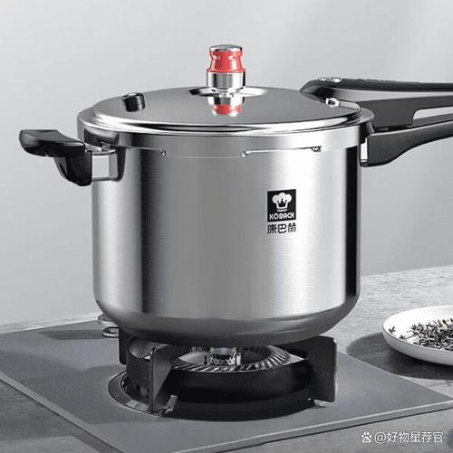高压锅和电压力锅哪个好用图标