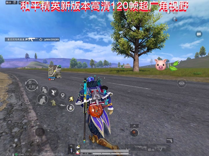 手机和平精英改超广角截图