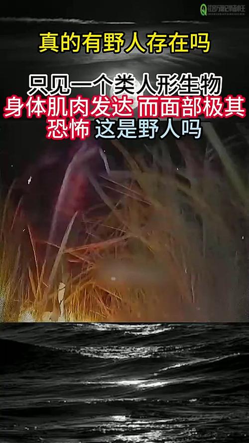 森林打开上帝模式后没有野人截图