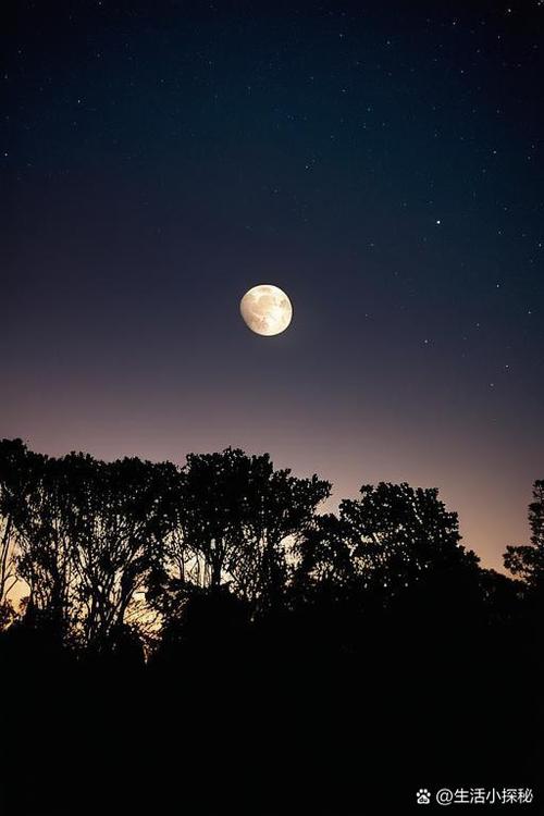 夜晚月亮的视频截图
