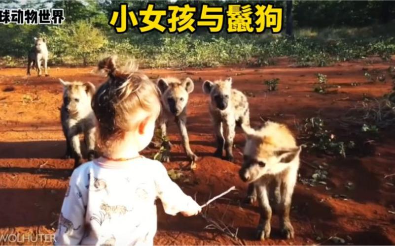 非洲女孩和鬣狗图标