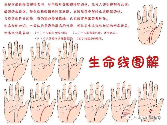 寿命长短看哪里图标