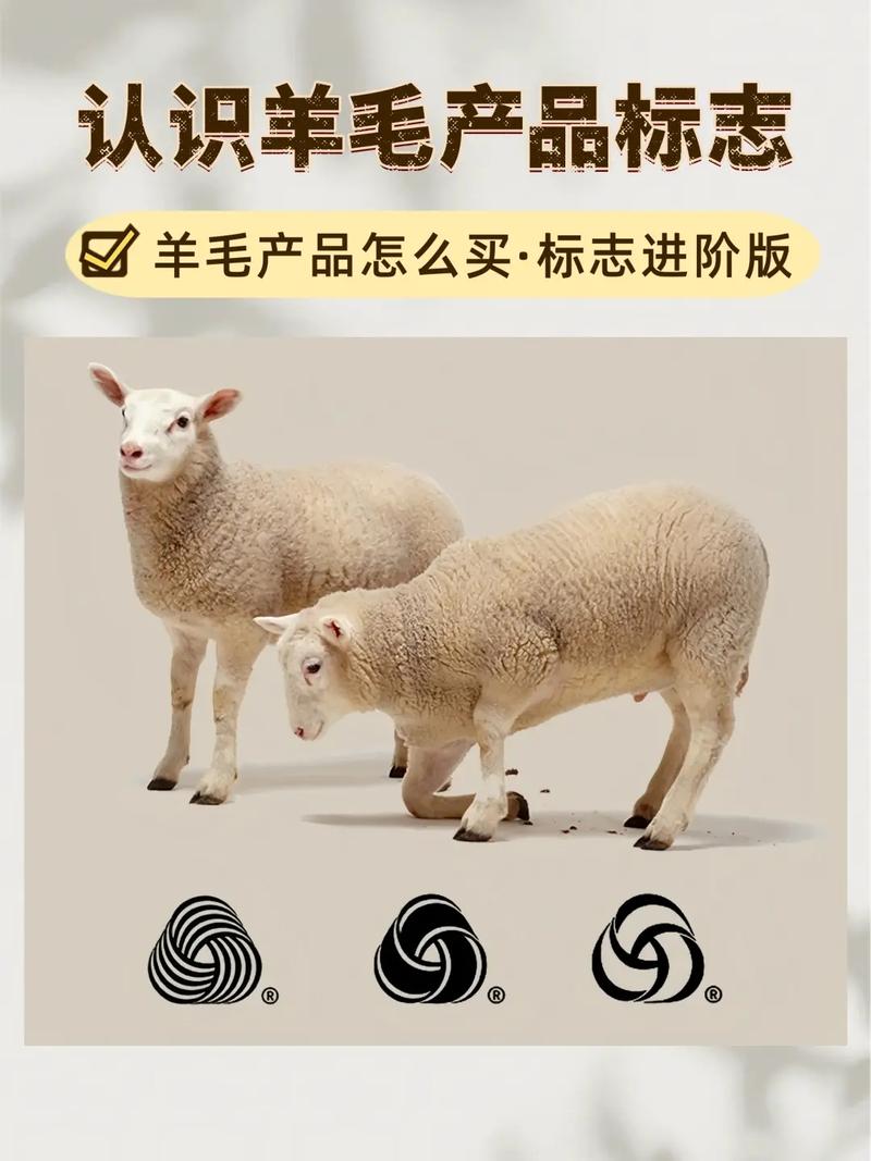 薅羊毛线包群图标
