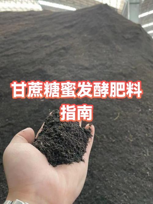 甘蔗糖蜜人可以吃吗图标