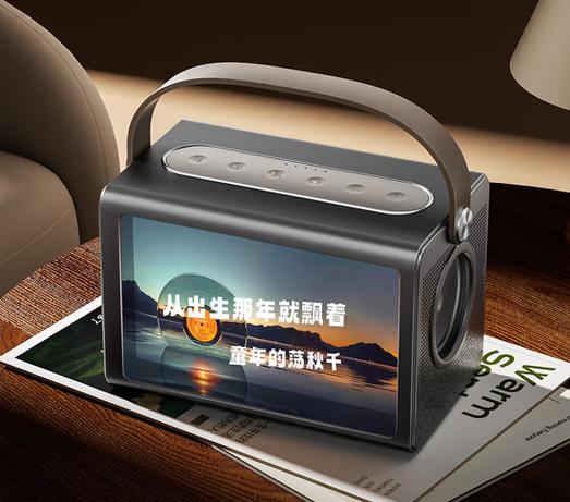 KTV话筒丢了怎么买截图