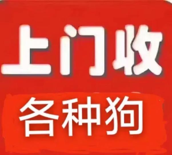 狗狗不想养了有上门回收的吗图标