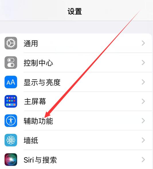 苹果的轻点两下怎么设置图标