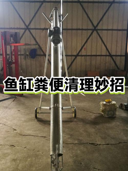 什么能清除鱼缸里的鱼粪截图