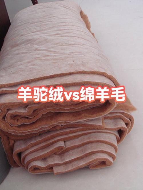 100%羊毛和100%绵羊毛图标