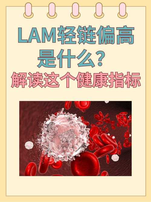 轻链是什么意思图标