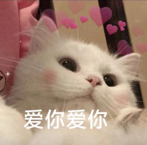 女人发爱你表情包暗示图标