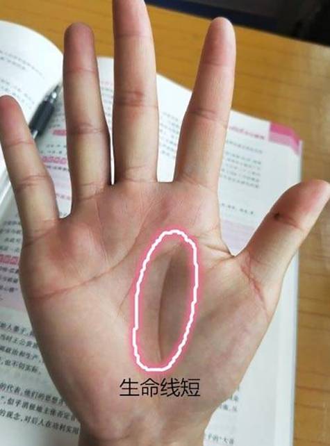 对异性有吸引力的女人手相图标