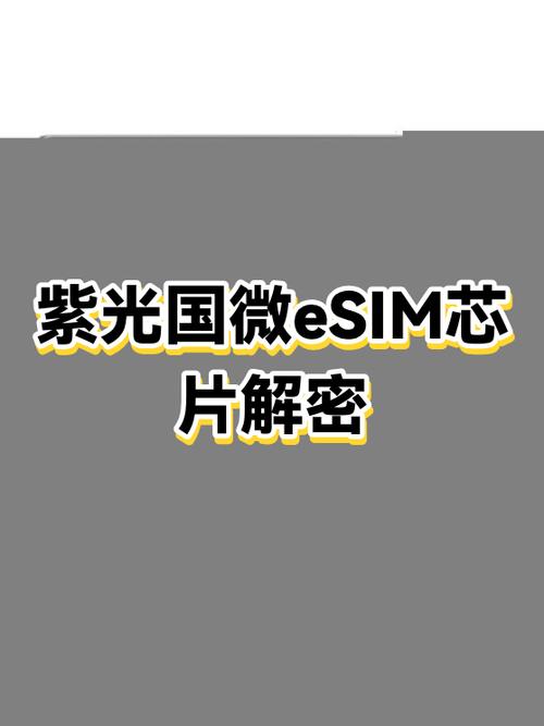 内置esim卡是什么意思图标