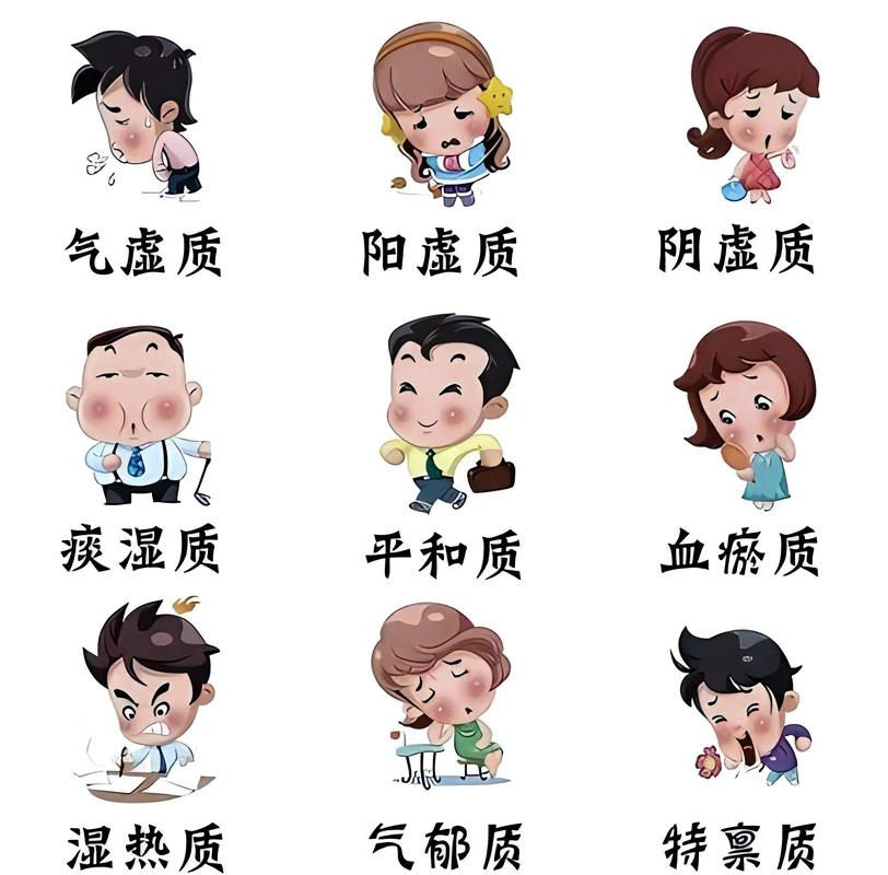 老大体质6.0最新版图标