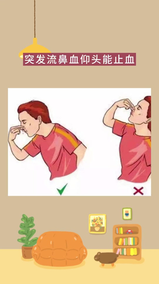 怎样阻止流鼻血的方法图标