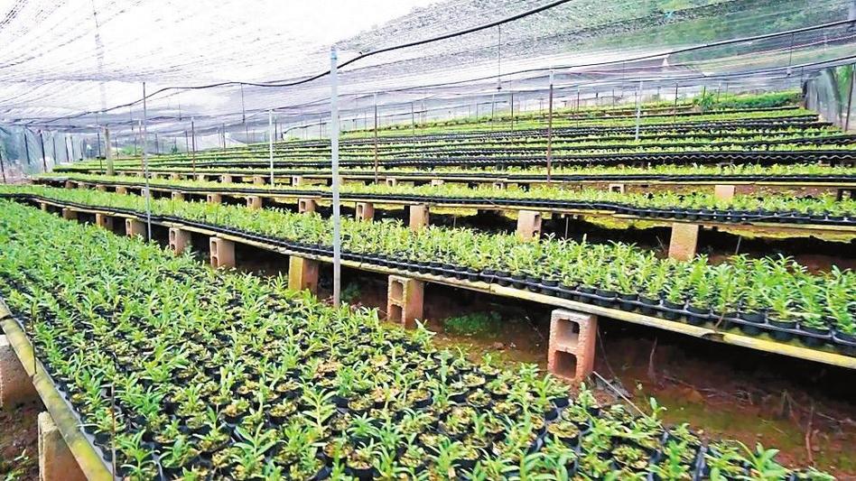 生态种植图标