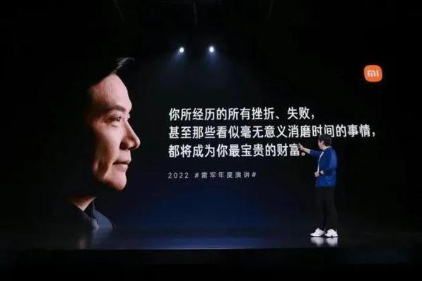 雷军最霸气一句话图标