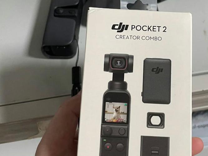大疆pocket2镜像图标