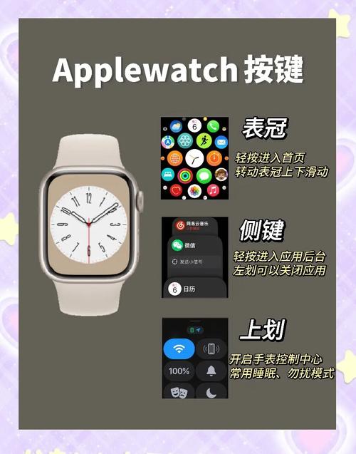 怎么使用苹果手表图标